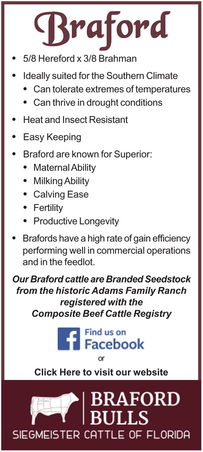 Composite Beef Cattle Registry - Why Breed Composites